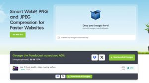 How to Compress Images Without Affecting Quality by TinyJPG?